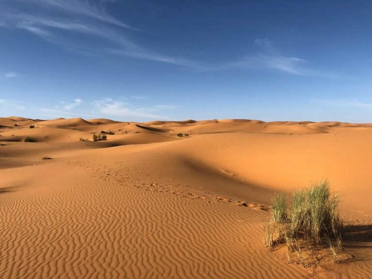 Vocabulary: Descriptive Words to Describe the Environment