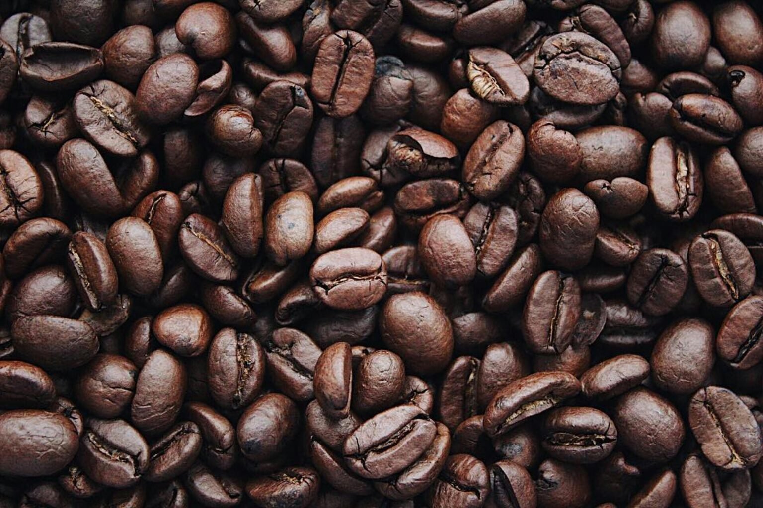Vocabulary: Descriptive Words to Describe Taste